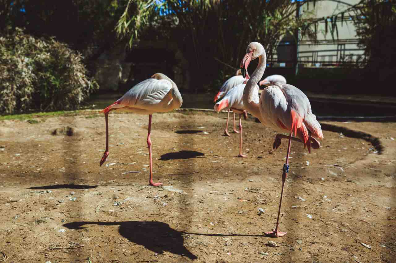 Limassol - Exploring the Charm of Cyprus | ZenFutura.com